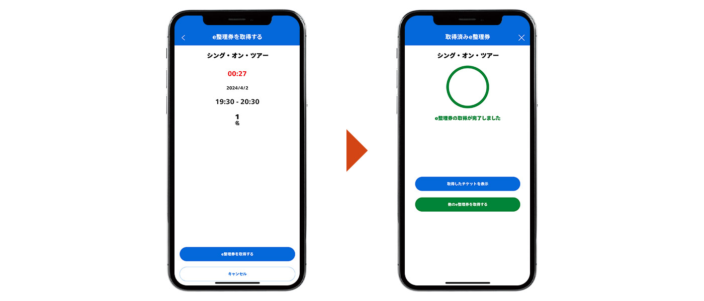 Attraction Timed Entry Ticket / Standby Entry Ticket (Timed Entry ...